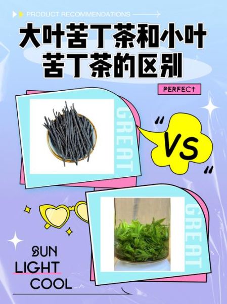 苦丁茶大叶好还是小叶好_哪个更养生-第1张图片-山城妙识