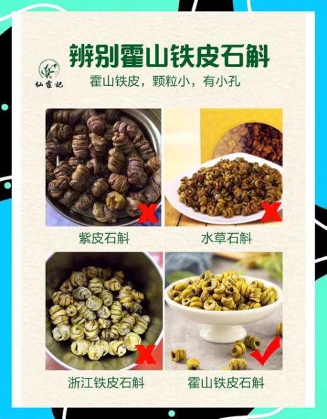 野生铁皮石斛图片_如何辨别真假-第1张图片-山城妙识