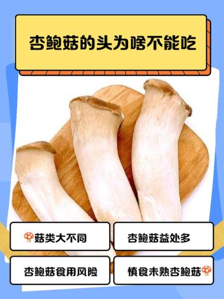 杏鲍菇不焯水有毒吗_杏鲍菇不焯水能吃吗-第1张图片-山城妙识