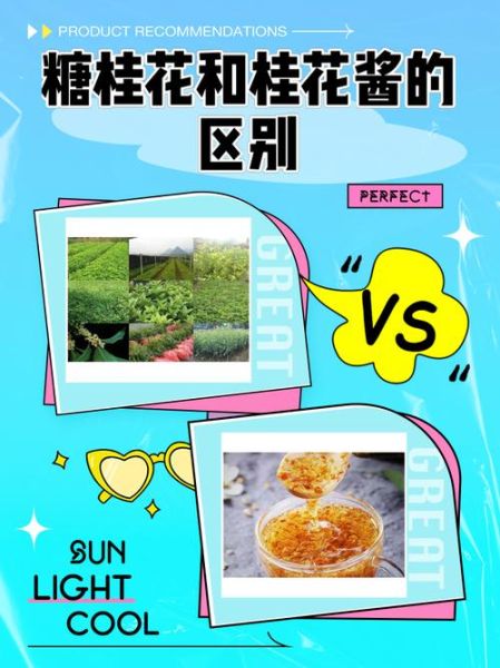 糖桂花和桂花酱的区别_哪个更适合做甜品-第1张图片-山城妙识