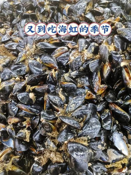 青口贝是海虹吗_区别与选购技巧-第2张图片-山城妙识