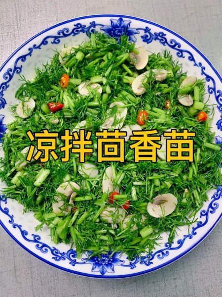 凉拌茴香苗怎么做好吃_凉拌茴香苗用焯水吗-第1张图片-山城妙识 凉拌茴香苗怎么做好吃_凉拌茴香苗用焯水吗-第1张图片-山城妙识