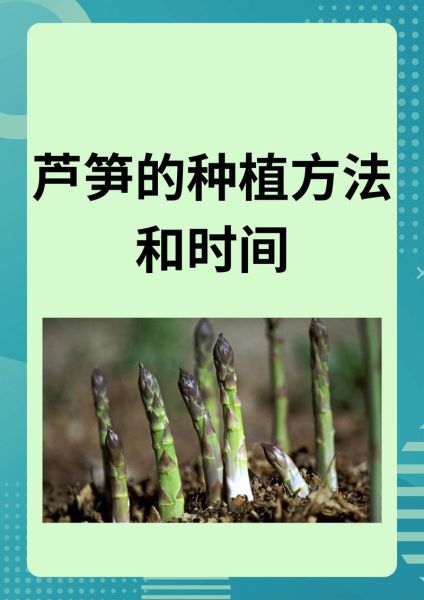 芦笋怎么种植_芦笋种植方法视频教程-第1张图片-山城妙识 芦笋怎么种植_芦笋种植方法视频教程-第1张图片-山城妙识