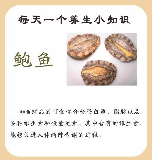 男人吃鲍鱼的功效与作用_男人吃鲍鱼能壮阳吗-第1张图片-山城妙识 男人吃鲍鱼的功效与作用_男人吃鲍鱼能壮阳吗-第1张图片-山城妙识