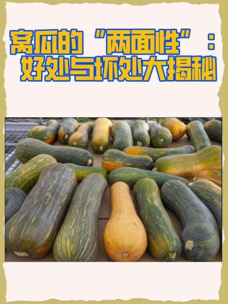 倭瓜和南瓜的区别_倭瓜怎么做好吃-第2张图片-山城妙识 倭瓜和南瓜的区别_倭瓜怎么做好吃-第2张图片-山城妙识