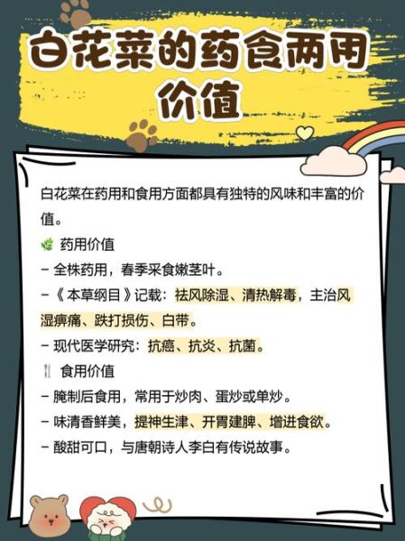 百花菜的功效与作用_百花菜怎么吃最养生-第1张图片-山城妙识