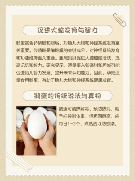 孕妇吃鹅蛋有什么好处_鹅蛋对孕妇的功效与作用-第1张图片-山城妙识 孕妇吃鹅蛋有什么好处_鹅蛋对孕妇的功效与作用-第1张图片-山城妙识