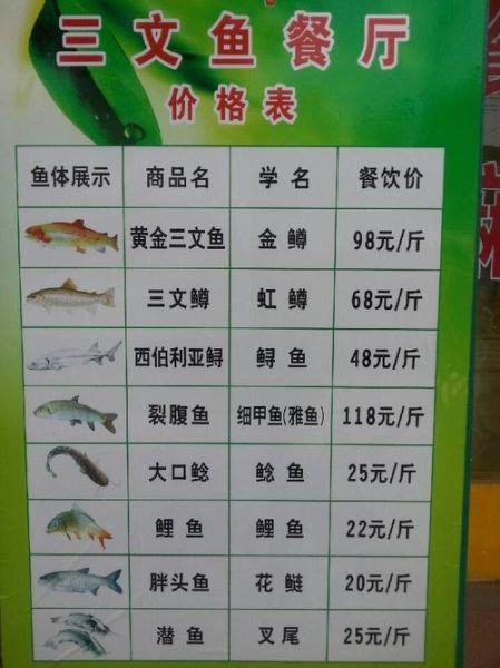 三文鱼2020年多少钱一斤_2020年三文鱼价格走势-第1张图片-山城妙识