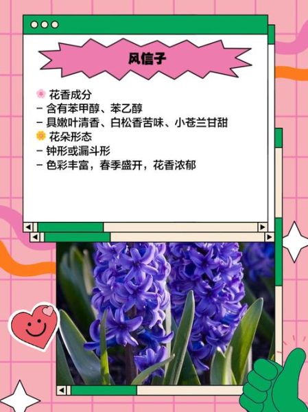 十大最香的花有哪些_如何挑选最香的花-第1张图片-山城妙识 十大最香的花有哪些_如何挑选最香的花-第1张图片-山城妙识