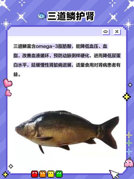 三道鳞不能和什么一起吃_孕妇能吃三道鳞吗-第2张图片-山城妙识