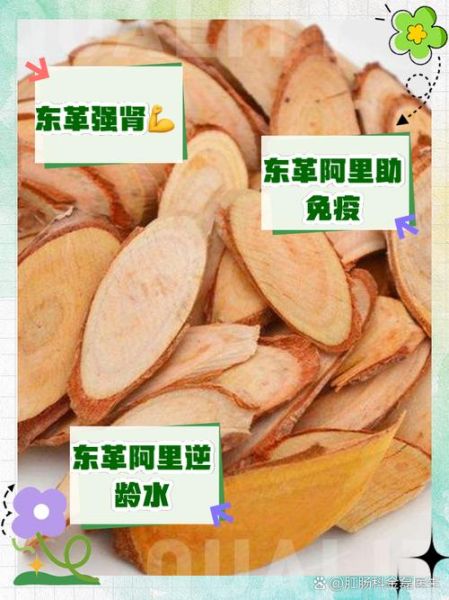 东革阿里的功效与作用_东革阿里怎么吃效果最好-第1张图片-山城妙识 东革阿里的功效与作用_东革阿里怎么吃效果最好-第1张图片-山城妙识