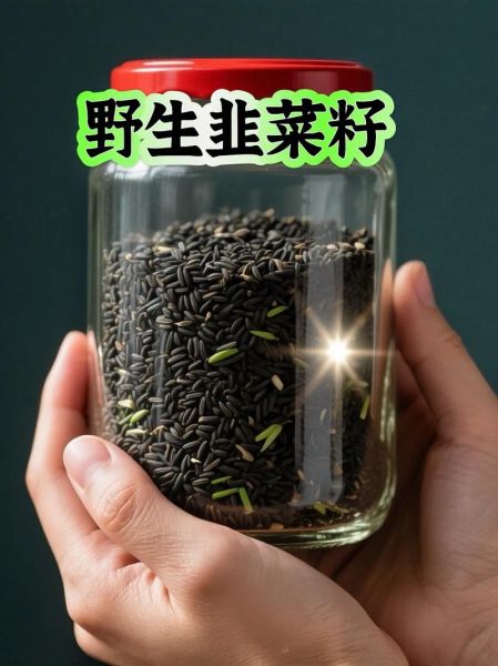 炒韭菜籽的功效与作用_怎么吃效果最好-第1张图片-山城妙识