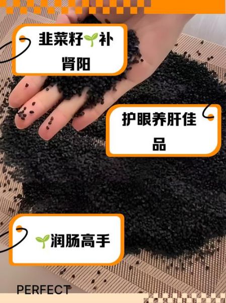 炒韭菜籽的功效与作用_怎么吃效果最好-第3张图片-山城妙识