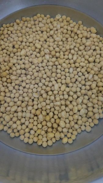 发酵酱豆怎么做_家庭自制酱豆详细步骤-第1张图片-山城妙识