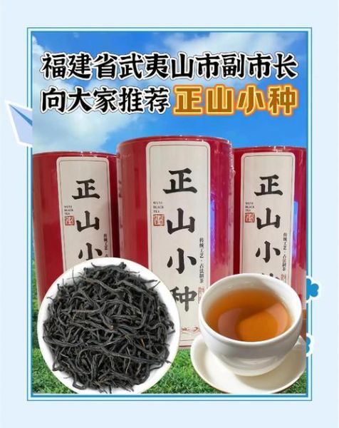 正山小种是红茶还是绿茶_正山小种属于什么茶类-第3张图片-山城妙识