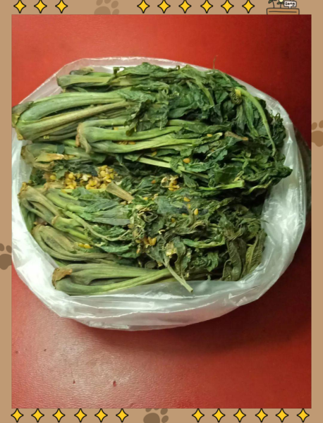 咸香椿怎么保存_咸香椿腌制多久能吃-第1张图片-山城妙识 咸香椿怎么保存_咸香椿腌制多久能吃-第1张图片-山城妙识