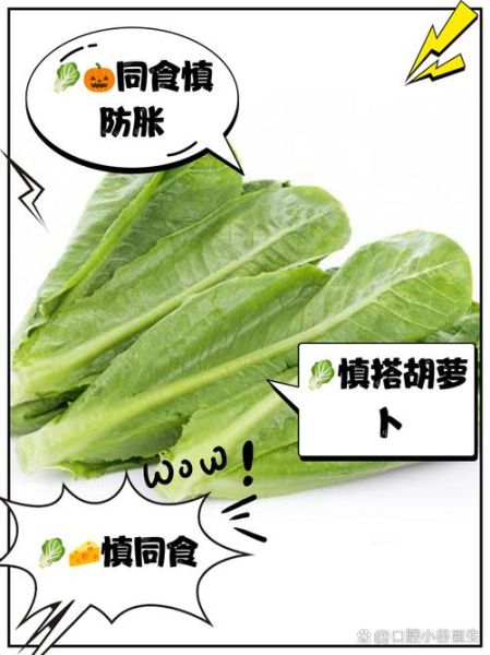 哪些人不宜吃油麦菜_油麦菜禁忌人群-第2张图片-山城妙识 哪些人不宜吃油麦菜_油麦菜禁忌人群-第2张图片-山城妙识