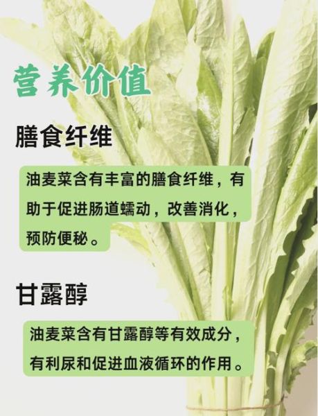 哪些人不宜吃油麦菜_油麦菜禁忌人群-第1张图片-山城妙识 哪些人不宜吃油麦菜_油麦菜禁忌人群-第1张图片-山城妙识
