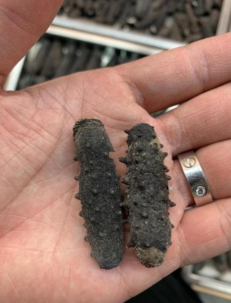 淡干海参怎么泡发_淡干海参泡发多久-第3张图片-山城妙识