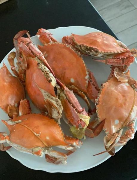 刚死的梭子蟹怎么保存才新鲜_冷冻还是冷藏-第1张图片-山城妙识 刚死的梭子蟹怎么保存才新鲜_冷冻还是冷藏-第1张图片-山城妙识