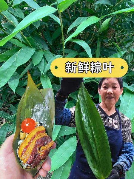 包粽子用什么叶子_粽子叶最正宗的是哪种-第1张图片-山城妙识