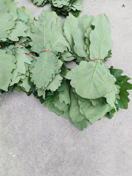 包粽子用什么叶子_粽子叶最正宗的是哪种-第2张图片-山城妙识