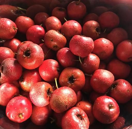 山楂罐头怎么做才粘稠_山楂罐头增稠技巧-第2张图片-山城妙识