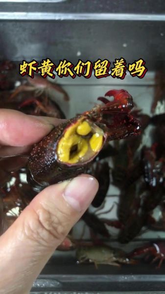 小龙虾怎么清洗_小龙虾调料配方-第3张图片-山城妙识
