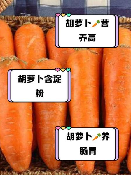 胡萝卜的热量是多少_减肥能吃多少-第2张图片-山城妙识
