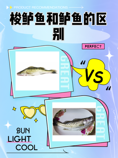 海梭鱼和海水梭鱼区别图片_怎么分辨-第2张图片-山城妙识