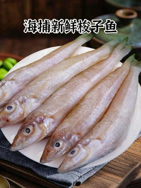 海梭鱼和海水梭鱼区别图片_怎么分辨-第3张图片-山城妙识