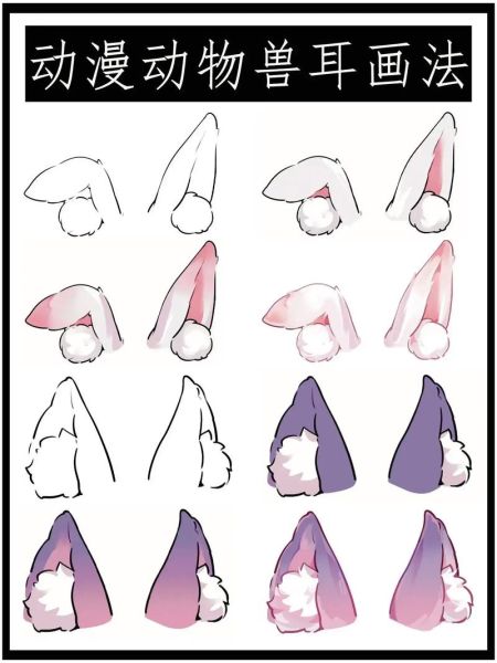 猫耳朵图片_如何画出可爱猫咪耳朵-第2张图片-山城妙识