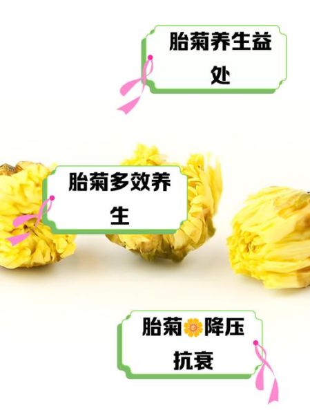 胎菊的功效与作用_胎菊泡水喝的正确方法-第1张图片-山城妙识 胎菊的功效与作用_胎菊泡水喝的正确方法-第1张图片-山城妙识