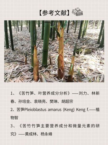 春笋苦的能吃吗_春笋苦味去除方法-第1张图片-山城妙识