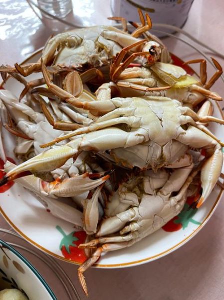 清蒸螃蟹几分钟_清蒸螃蟹做法视频-第3张图片-山城妙识 清蒸螃蟹几分钟_清蒸螃蟹做法视频-第3张图片-山城妙识