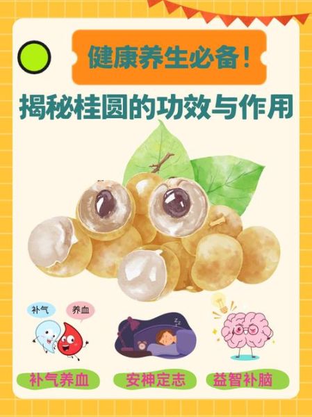 哪些人不适合吃桂圆_桂圆禁忌人群有哪些-第2张图片-山城妙识 哪些人不适合吃桂圆_桂圆禁忌人群有哪些-第2张图片-山城妙识