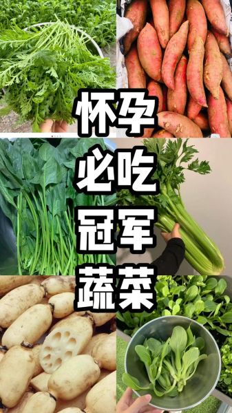 孕妇早期吃什么蔬菜好_怀孕初期蔬菜推荐-第3张图片-山城妙识