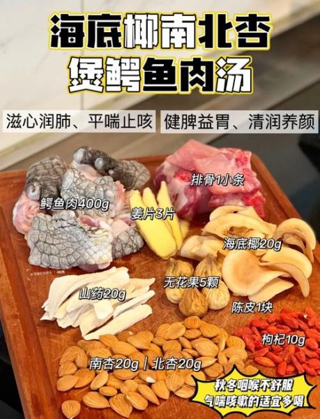 海底椰煲汤的功效与作用_海底椰煲汤的做法步骤-第2张图片-山城妙识