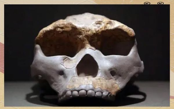 元谋人图片_元谋人化石年代-第3张图片-山城妙识 元谋人图片_元谋人化石年代-第3张图片-山城妙识
