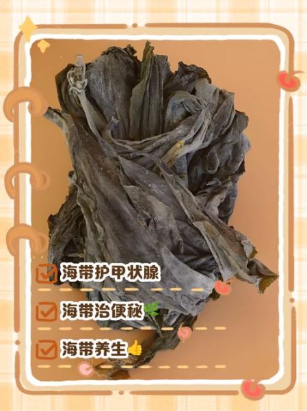 海带根须有什么功效_海带根须怎么食用-第1张图片-山城妙识