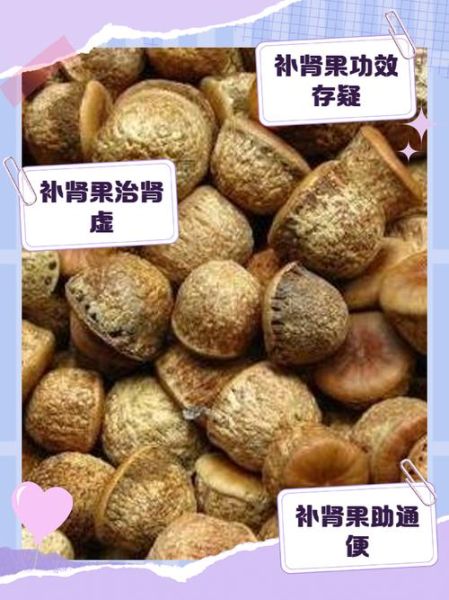 补肾壮阳坚果有哪些_怎么吃最有效-第1张图片-山城妙识