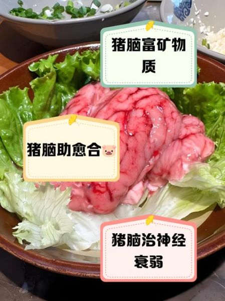 猪脑的营养价值_猪脑吃了会胖吗-第1张图片-山城妙识