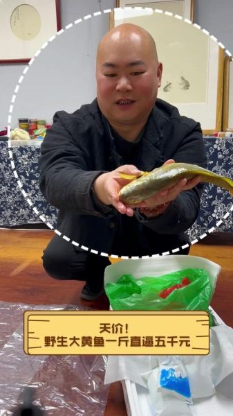 野生大黄鱼价格多少钱一斤_野生大黄鱼为什么这么贵-第1张图片-山城妙识 野生大黄鱼价格多少钱一斤_野生大黄鱼为什么这么贵-第1张图片-山城妙识