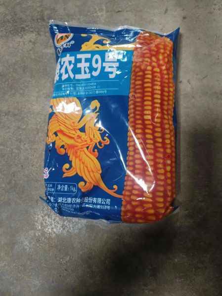 玉米种子多少钱一斤_玉米种子价格影响因素-第2张图片-山城妙识