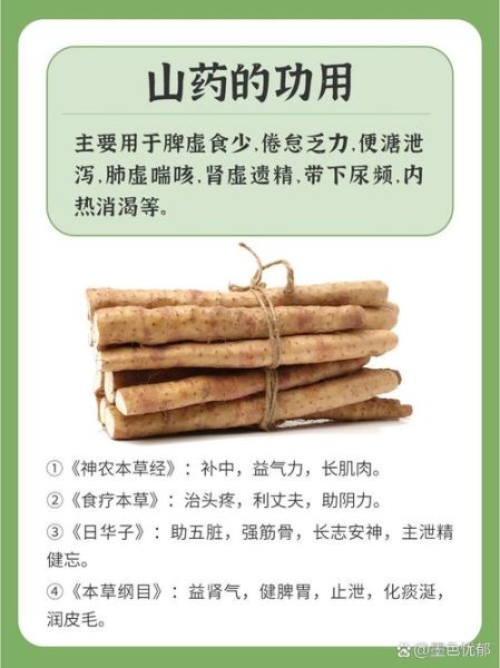山药的功效与作用及禁忌_哪些人不能吃-第1张图片-山城妙识 山药的功效与作用及禁忌_哪些人不能吃-第1张图片-山城妙识
