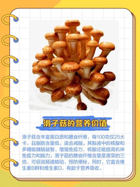 滑菇宝石是什么_滑菇宝石怎么种植-第1张图片-山城妙识 滑菇宝石是什么_滑菇宝石怎么种植-第1张图片-山城妙识