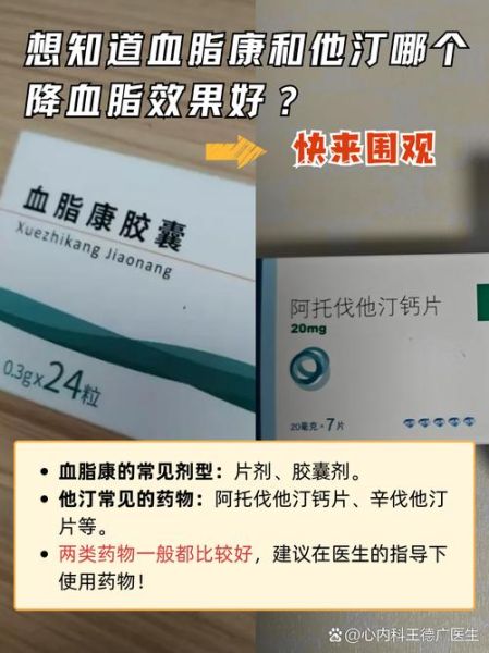 降血脂吃什么药效果好_他汀类和非他汀类怎么选-第3张图片-山城妙识 降血脂吃什么药效果好_他汀类和非他汀类怎么选-第3张图片-山城妙识