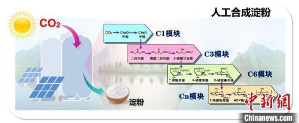 淀粉人工合成_如何实现-第1张图片-山城妙识 淀粉人工合成_如何实现-第1张图片-山城妙识