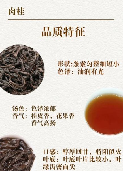 肉桂茶属于什么茶_肉桂茶的功效与作用-第2张图片-山城妙识 肉桂茶属于什么茶_肉桂茶的功效与作用-第2张图片-山城妙识