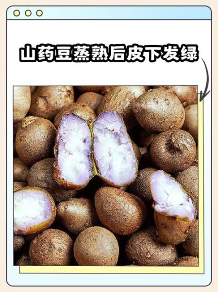 山药豆发芽了以后还能吃吗_发芽山药豆有毒吗-第3张图片-山城妙识 山药豆发芽了以后还能吃吗_发芽山药豆有毒吗-第3张图片-山城妙识
